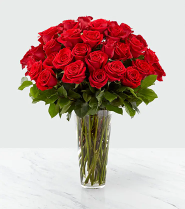 A Stunning Arrangement of Two Dozen Red Roses - Flowers in 4 Hours